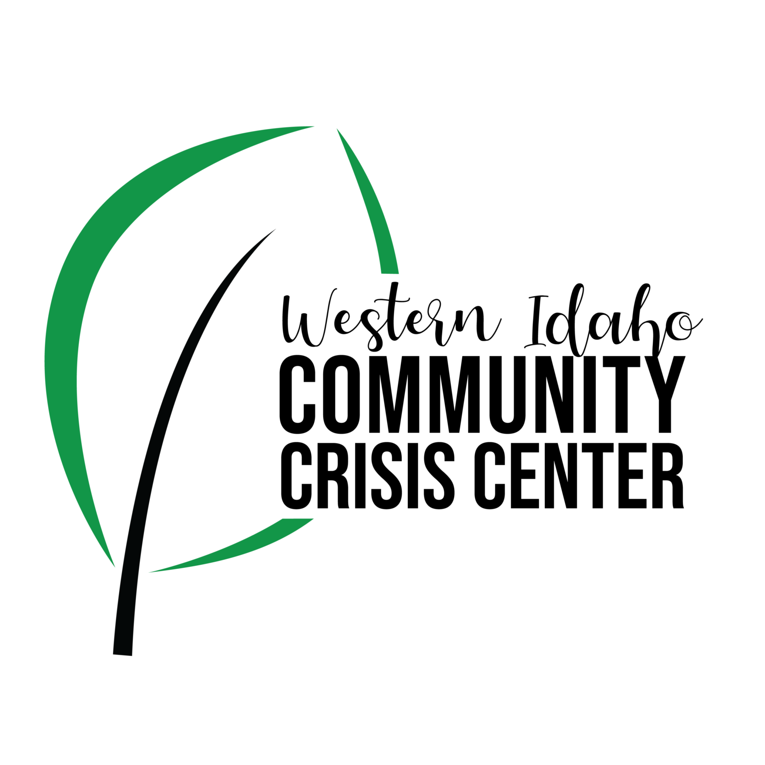 Behavioral Health, Crisis Support, and Mental Health Services Idaho ...